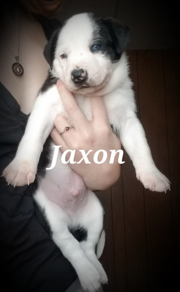 Maggie – Jaxon – strong with you