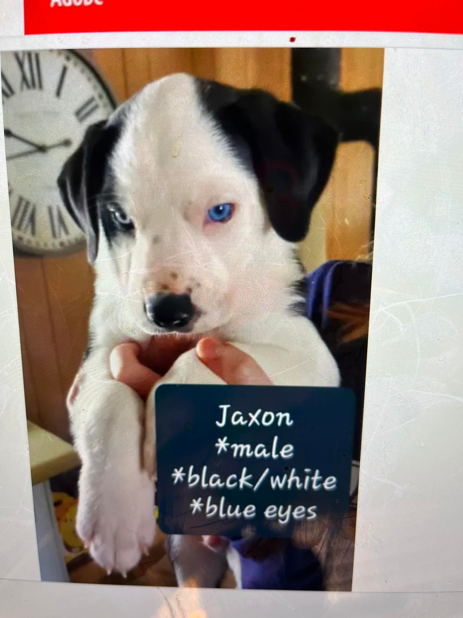 Maggie – Jaxon – strong with you