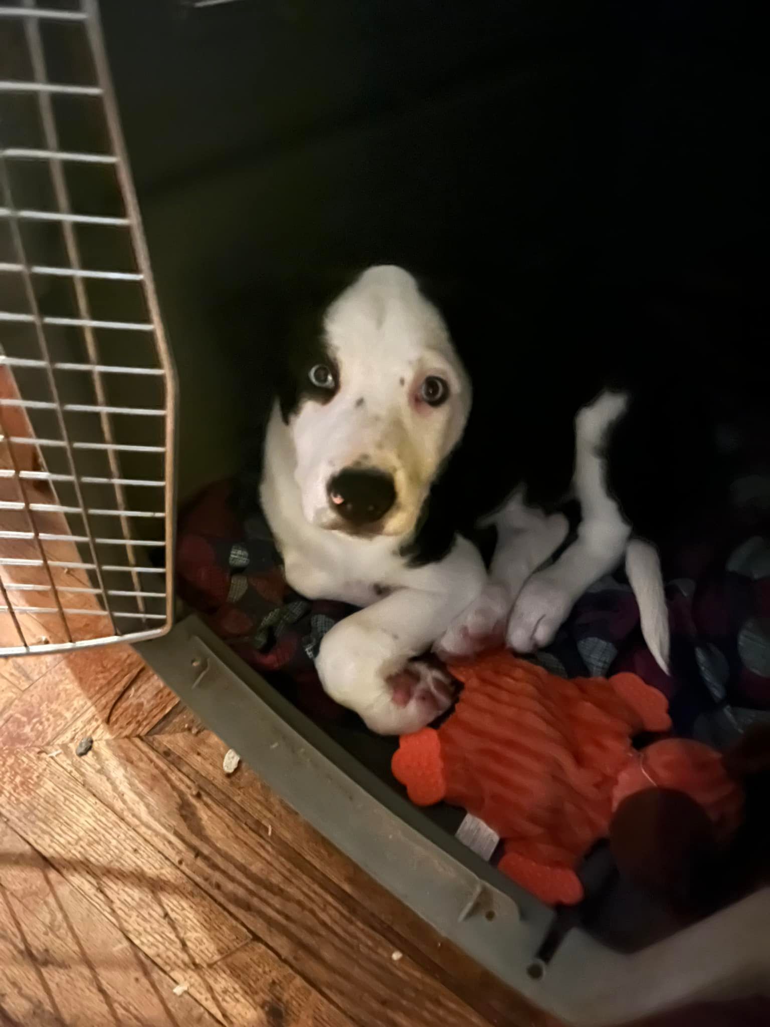 Maggie – Jaxon – strong with you